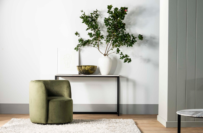 Selecting the Best Console | Satara